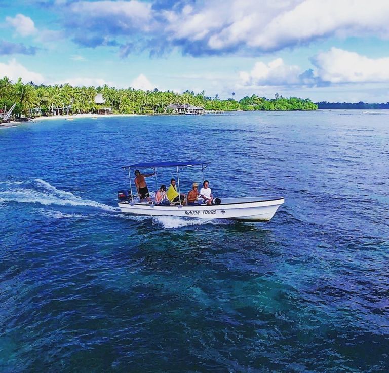 Spotting Sea Turtles in Samoa: A Must-Do Experience on Your Holiday ...